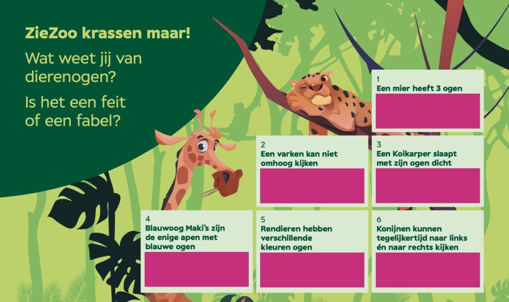 Kijk je ogen uit en test met deze grappige kraskaart de ogen van jouw ...